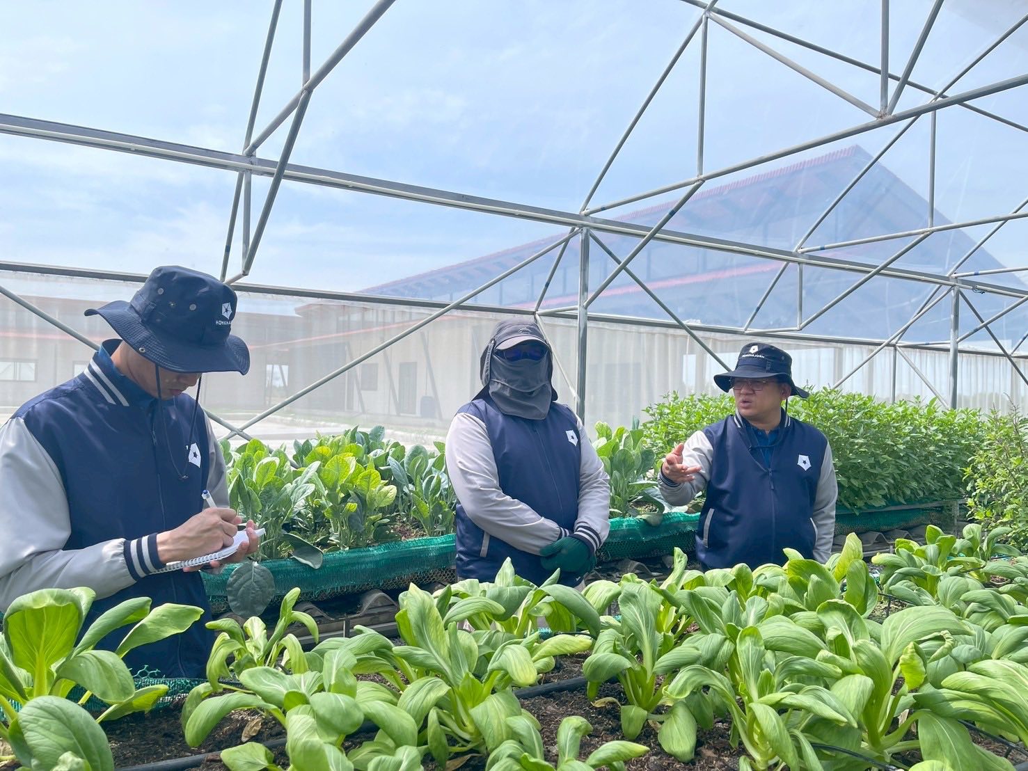 Smart Safe Agriculture Demonstration Plot: A Living Laboratory for ...